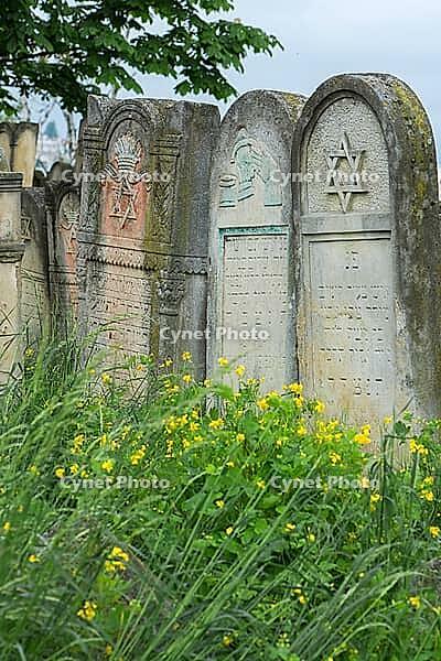 Tombstones with reliefs of symbols, Jewish cemetery, since 1866 ...