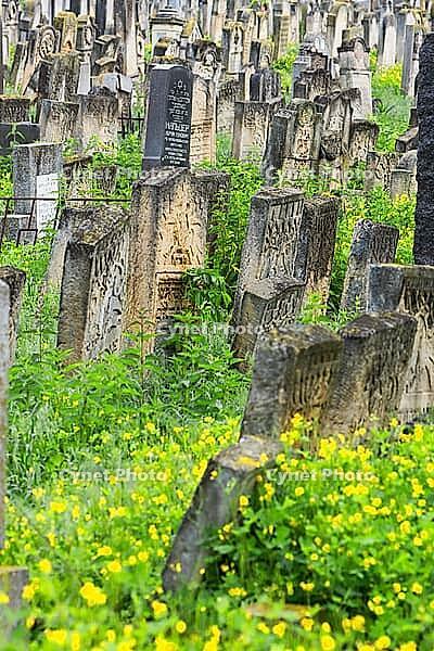Tombstones at the Jewish cemetery, since 1866, Czernowicz, Bukovina ...